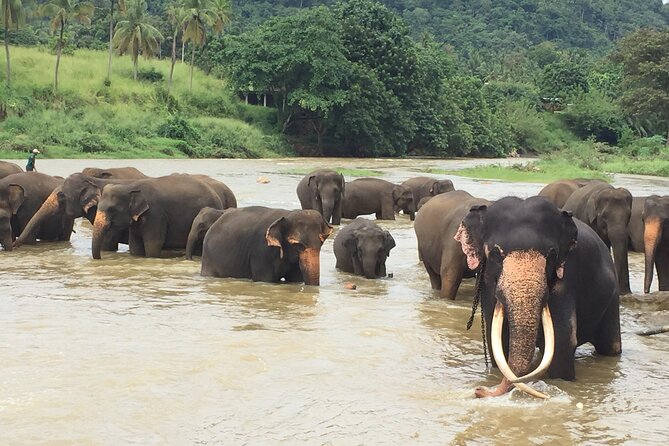 8 Days Adventure Tour with Chauffeur and Air-condition Vehicle - Frequently Asked Questions