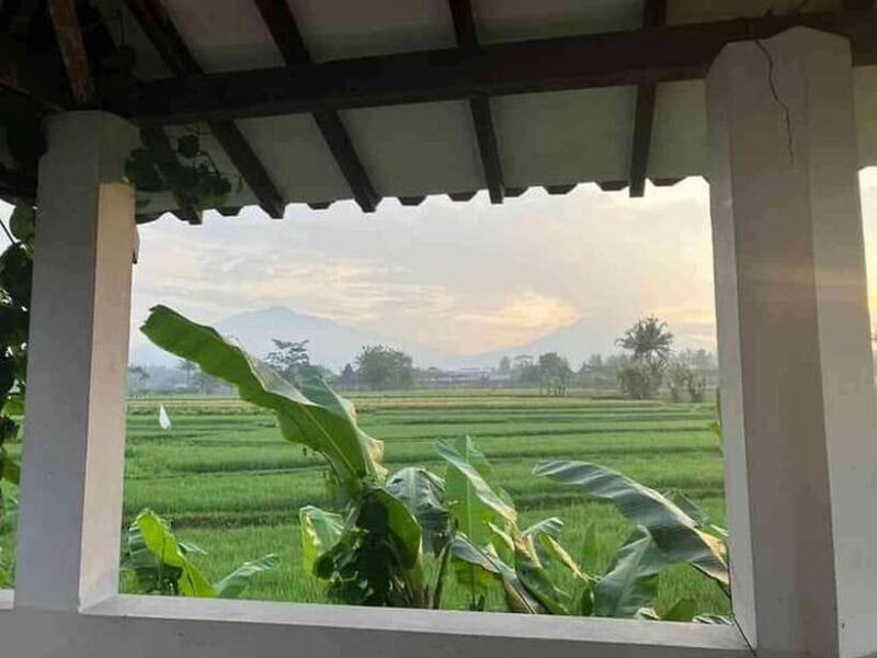 8 Days all inclusive - Motorbike Tour in Central Java - The Experience: What You’ll Really Get