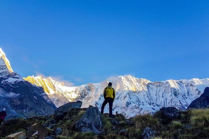 8 Days Annapurna Base Camp Budget Trek from Kathmandu - Day 5: Descent from Annapurna Base Camp