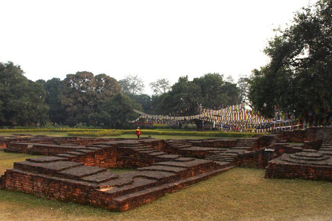 8 days Buddhist Pilgrimage Lumbini & Jungle Safari Chitwan National Park Tour - Final Summary
