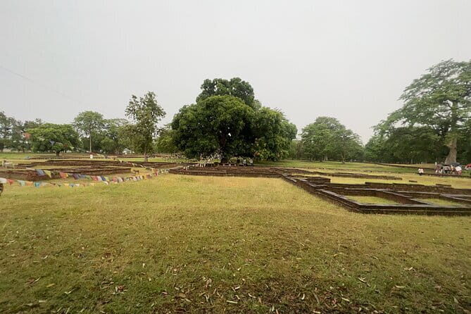 8 Days Buddhist Sites Pilgrimage Tour In Nepal - What Travelers Say