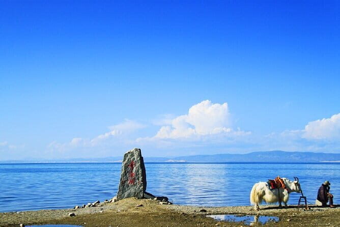8 Days China Silk Road Private Tour to Xining, Zhangye, Dunhuang - The Sum Up