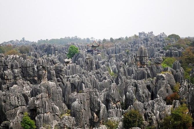 8 Days Classic Tour of Yunnan - Authentic Experiences and Practical Travel Tips