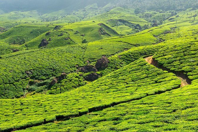 8 Days Kerala Private Tour (3 Star) with Munnar, Houseboat & Cab- Iris Holidays - Practical Considerations