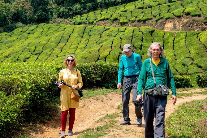 8 Days Kerala Private Tour Covering Kochi- Munnar- Periyar- Alleppey and Kovalam - Exploring Kerala: A Land of Contrasts and Natural Beauty