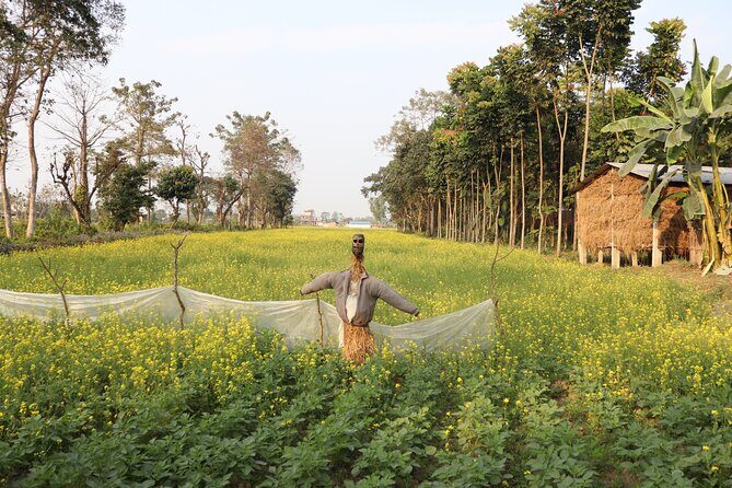 8-Days Private kathmandu Chitwan and Pokhara City tour - Practical Tips for Travelers
