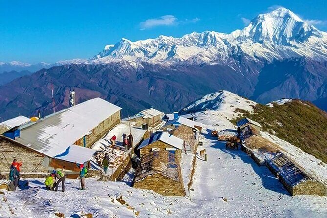 8 Days Private Pokhara Trekking to Khopra Hill - Final Thoughts: Who Should Consider This Trek?