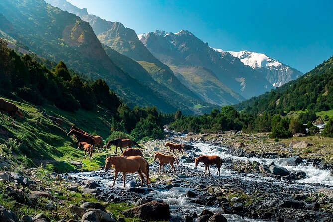 8 Days Private Tour at Lenin Peak Base Camp Trek - The Sum Up