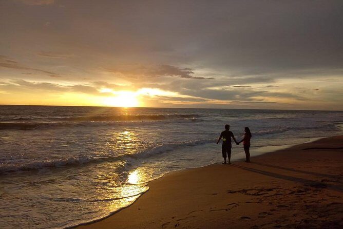 8 Days Sri Lanka Private Tour with Air Conditioned Vehicle - Key Points