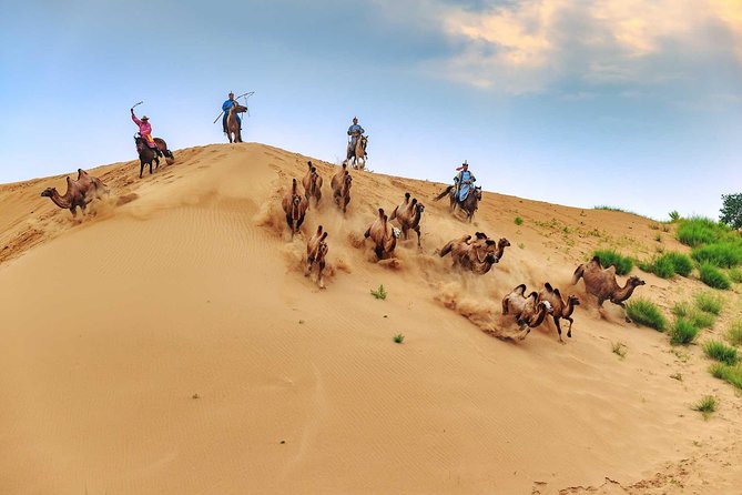 8 Days Tour: Gobi Desert And Kharkhorin - Exploring the 8-Day Gobi Desert and Kharkhorin Tour: A Balanced Look