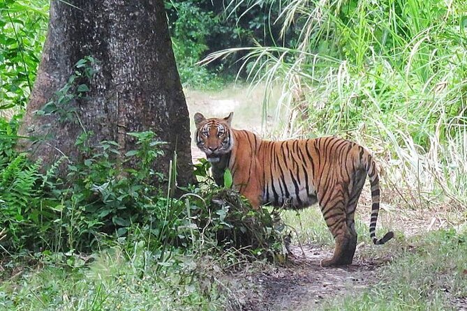 8 Days Tour in Nepal (Accommodation at 5 Star Hotel) - What Makes This Tour Stand Out?