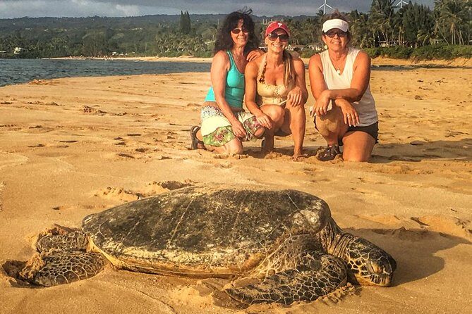 8 Hour Circle Island Jeep Tour - The Smooth Flow of the Itinerary