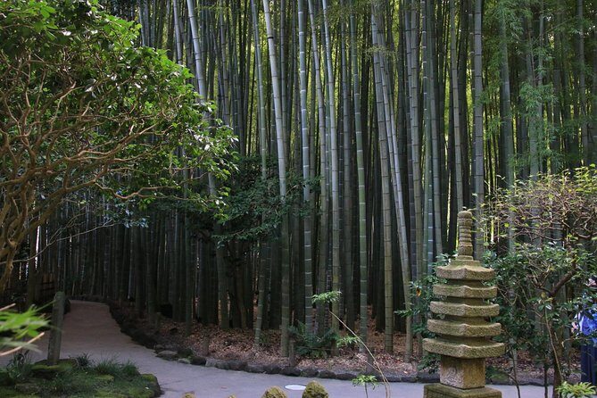 8-hour Kamakura tour by qualified guide using public transportation - Who This Tour Is Best For