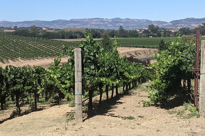 8 Hour Napa and Sonoma Valley tour - FAQ about the Napa and Sonoma Valley Tour