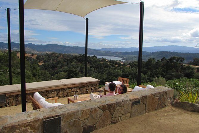 8 Hour Private Customized Wine Tour up to 7 Guests Napa & Sonoma - Final Word