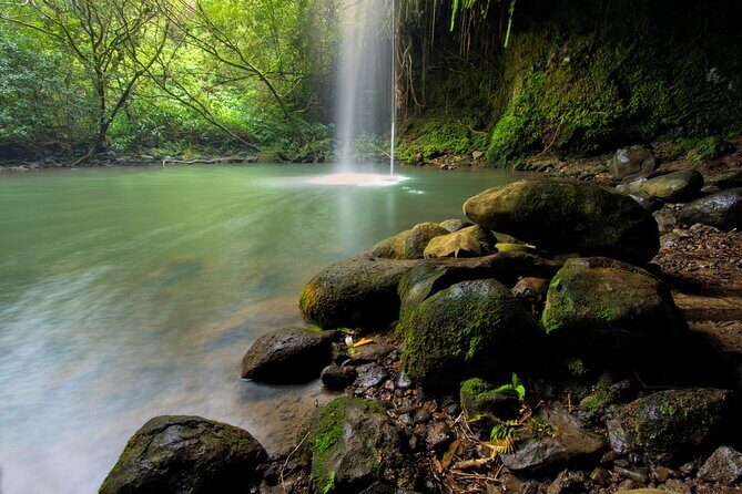 8 Hour Private Jungle Waterfall Tour from Maui - Assessing the Value
