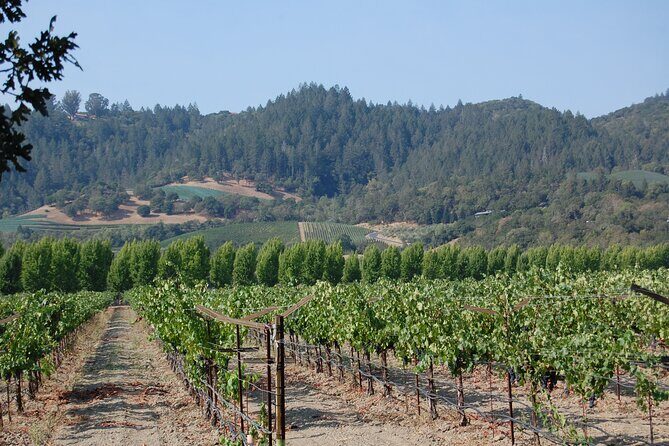 8 Hour Private Napa Wine Tasting Tour with a Sample Stops - The Sum Up: Who Will Love This Tour?
