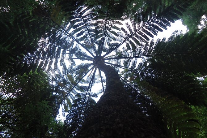 8-Hour Private Tour in 4x4 Vehicle from Ponta Delgada - FAQ