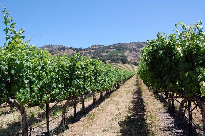 8 Hour Private Tour in Napa Valley Winery - Exploring the Itinerary in Detail
