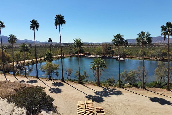 8 Hour Private Tour in the Guadalupe Valley 1-4 Passengers - FAQ