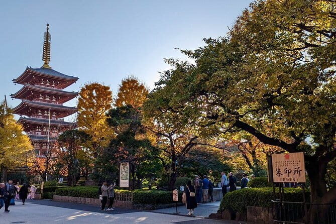 8-Hour Private Tour of Traditional Tokyo in Spanish - A Comprehensive Look at the Itinerary