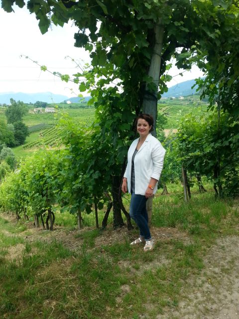 8-Hour Prosecco Wine and Tastings Tour from Venice or Padua - FAQs