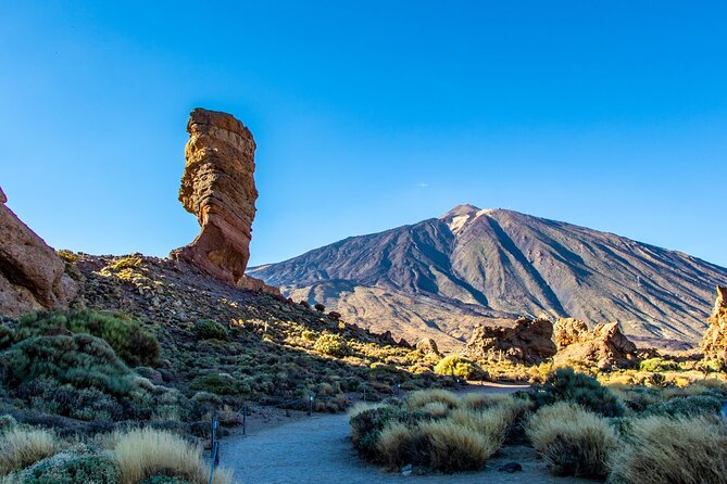 8-Hour Rental in a Luxury Car and Driver/Official Private Guide in Tenerife - Who Should Book This Tour?