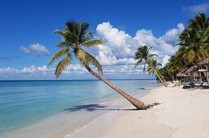 8-Hour Saona Party Boat and a stop at a Natural Pool from Cap Cana - Analyzing the Value