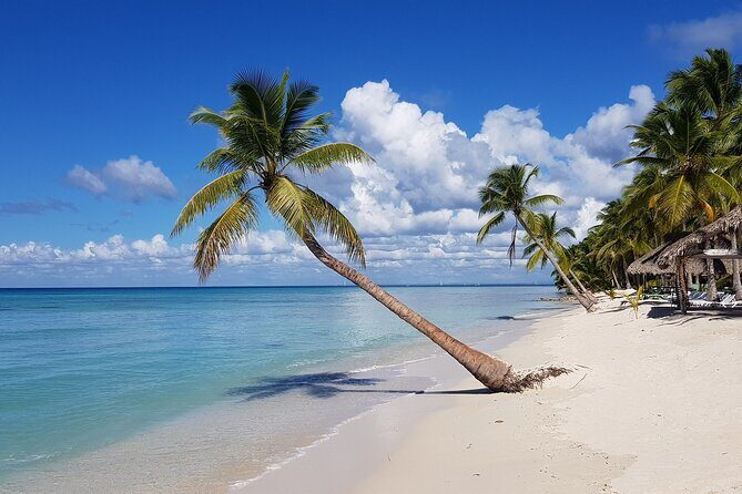 8-Hour Saona Party Boat and a stop at a Natural Pool from Cap Cana - Who Should Consider This Tour?