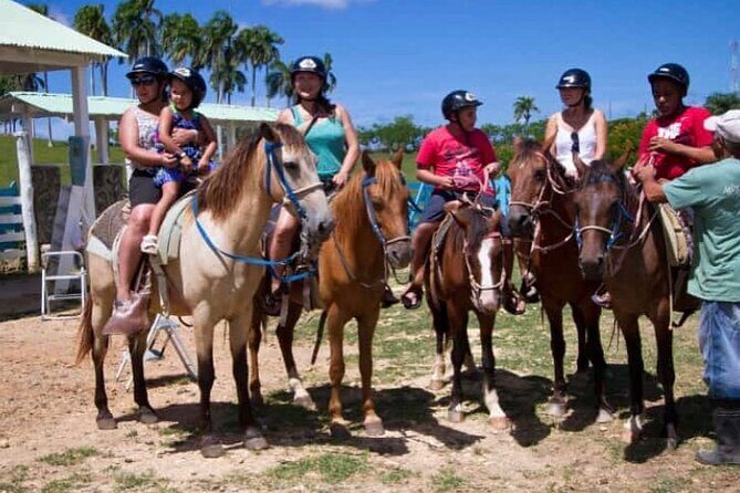 8-Hour Tour Enjoying the Dominican Culture Through the Countryside - An In-Depth Look at the Experience