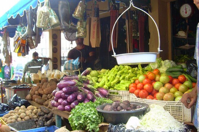 8-Hour Tour Enjoying the Dominican Culture Through the Countryside - Final Thoughts