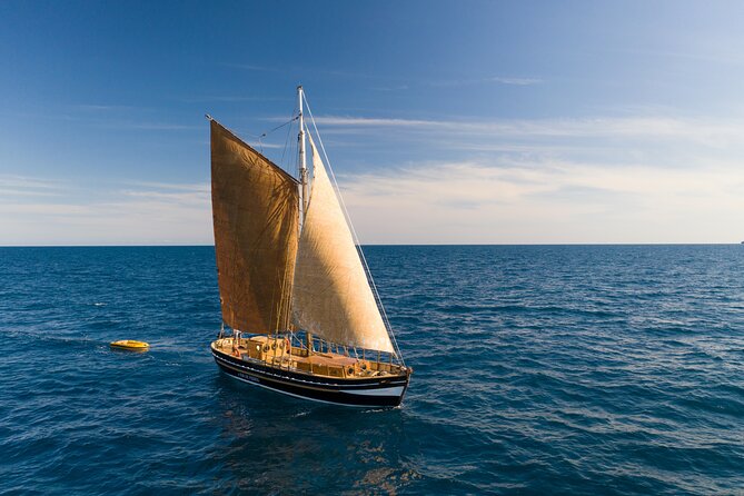 8-Hour Whale Watching in Barcelona - Authentic Reviews from Participants