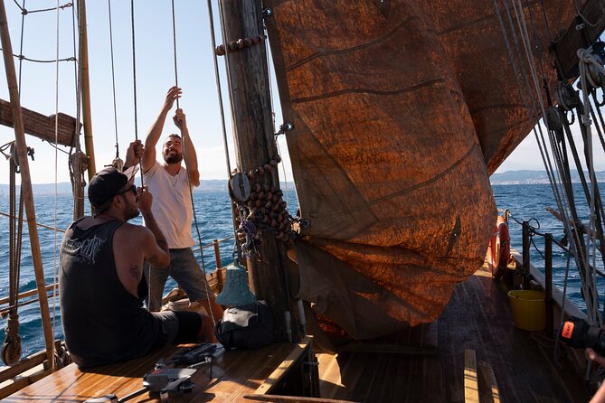 8-Hour Whale Watching in Barcelona - The Sum Up