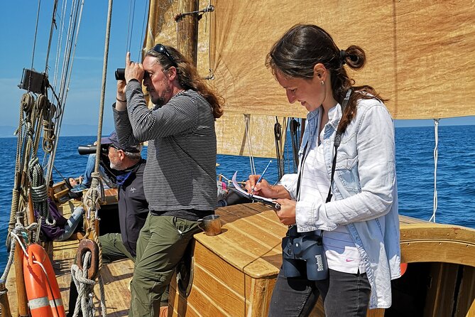 8-Hour Whale Watching in Barcelona - FAQ