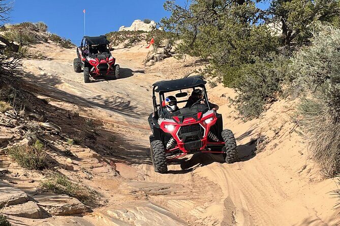 8 Hour White Pocket UTV or 4WD Tour! Starting at $215 per person! - Who Will Love This Tour?