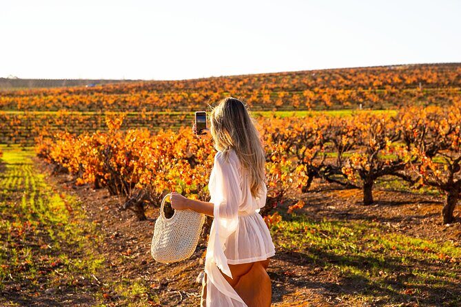 8 Hour Wine Tour and Tasting Experience at McLaren Vale - Key Points