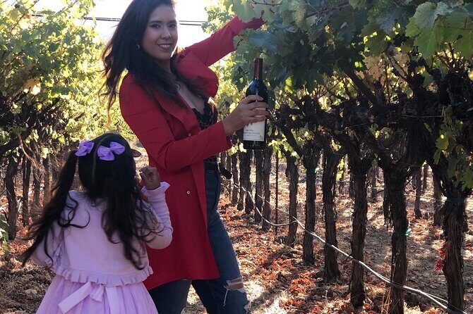 8 Hours 12 Passengers limo bus for Napa or Sonoma wine tour - Why Choose a Private, Chauffeured Wine Tour?