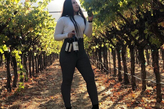 8 Hours 12 Passengers limo bus for Napa or Sonoma wine tour - The Price Point: Value for Your Money