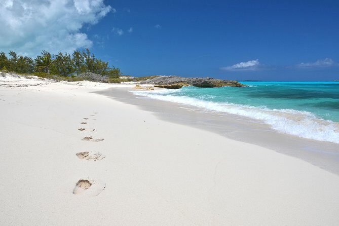 8 hours 38ft Reel Dreams Private Charter Nassau - The Itinerary in Detail: What to Expect