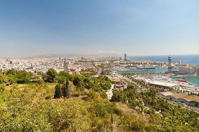 8 hours Barcelona Highlights Private tour - The Transportation and Comfort Factor