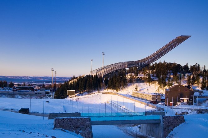 8 Hours Full-Day Exclusive Oslo Tailormade Guided Limo Tour - Traveler Testimonials and Reviews