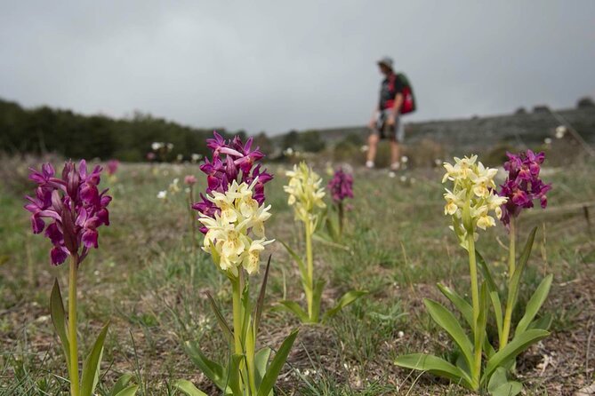 8 Hours Private French Riviera Villages Hiking - Key Points