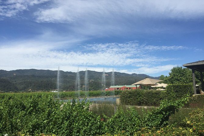 8-Hours Private Limo(up to 8 pass.) Wine Tour of Napa Valley from San Francisco - What Travelers Say