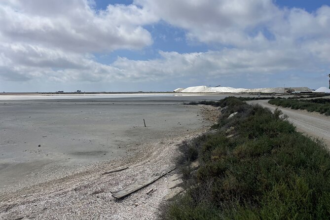 8 Hours Visit to the Camargue and the Salins dAigues-Mortes - First Stop: Salin dAigues-Mortes