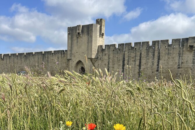 8 Hours Visit to the Camargue and the Salins dAigues-Mortes - Second Stop: The Medieval City of Aigues-Mortes