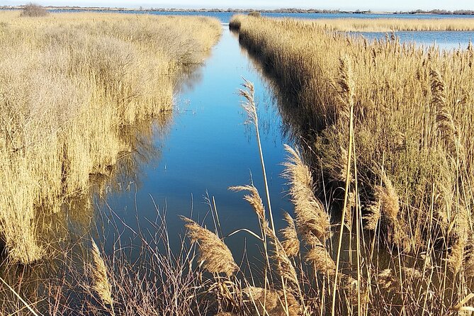 8 Hours Visit to the Camargue and the Salins dAigues-Mortes - Third Stop: Centre de Decouverte du Scamandre
