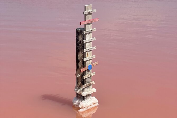 8 Hours Visit to the Camargue and the Salins dAigues-Mortes - Fifth Stop: Tour Carbonnière