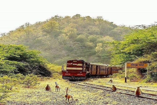 8 Nights/9 Days Majestic Rajasthan Tour Package - Who Would Benefit from This Tour?