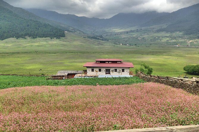 8 Nights Bhutan Tour with Bumthang Valley Extension with Private Guide - Practical Aspects: Transportation, Accommodation, and Timing