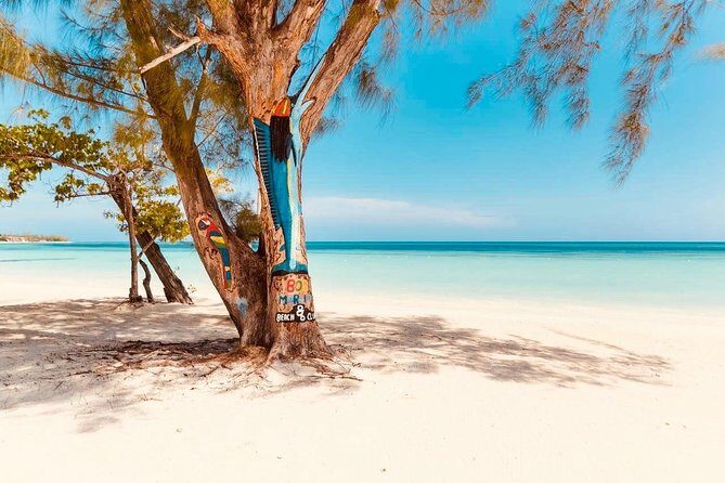 876 Beach Club Day Pass Plus Aqua Park From Falmouth Cruise Port - Introduction: A Sunny Escape with Plenty of Splash